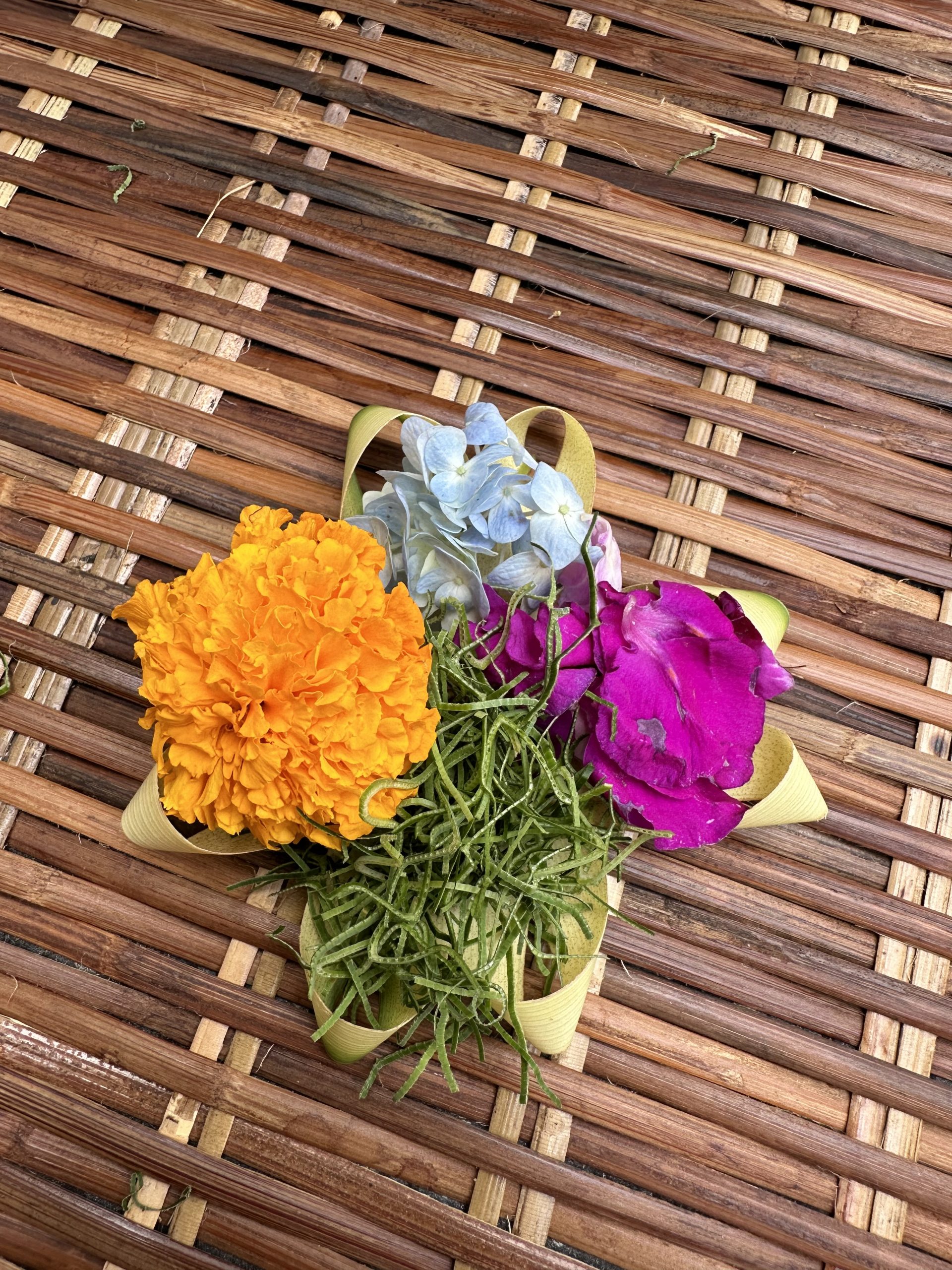 Cicada Luxury Resort Ubud - Alicia Katharina